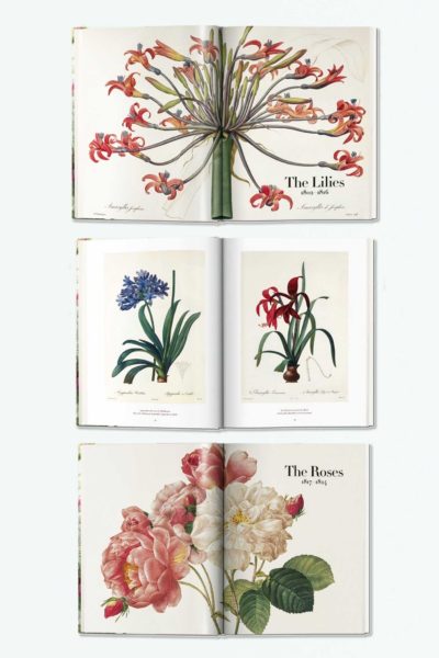 Redouté. The Book of Flowers - The Whisper Gallery