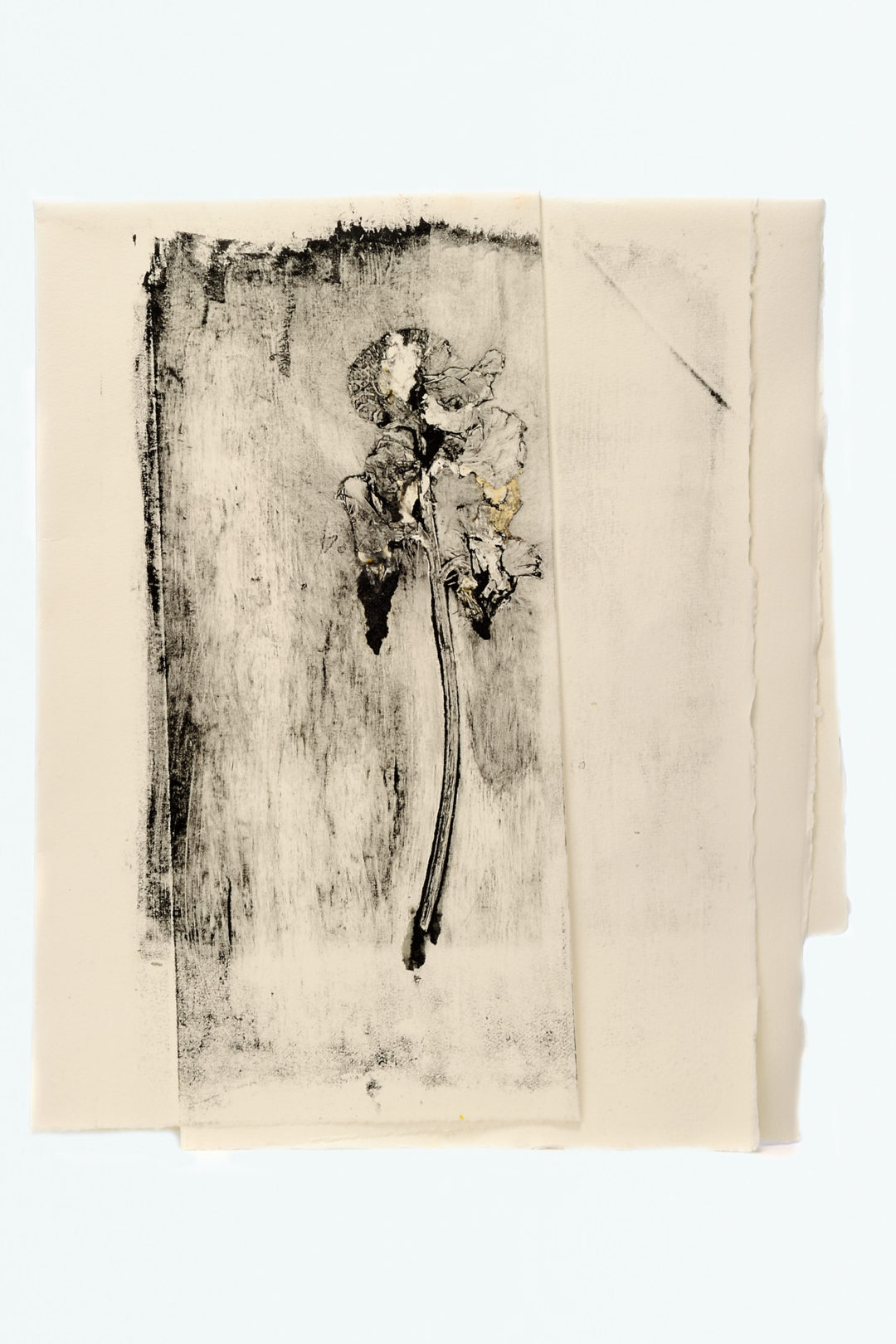 Peter Doig | Drifter - The Whisper Gallery